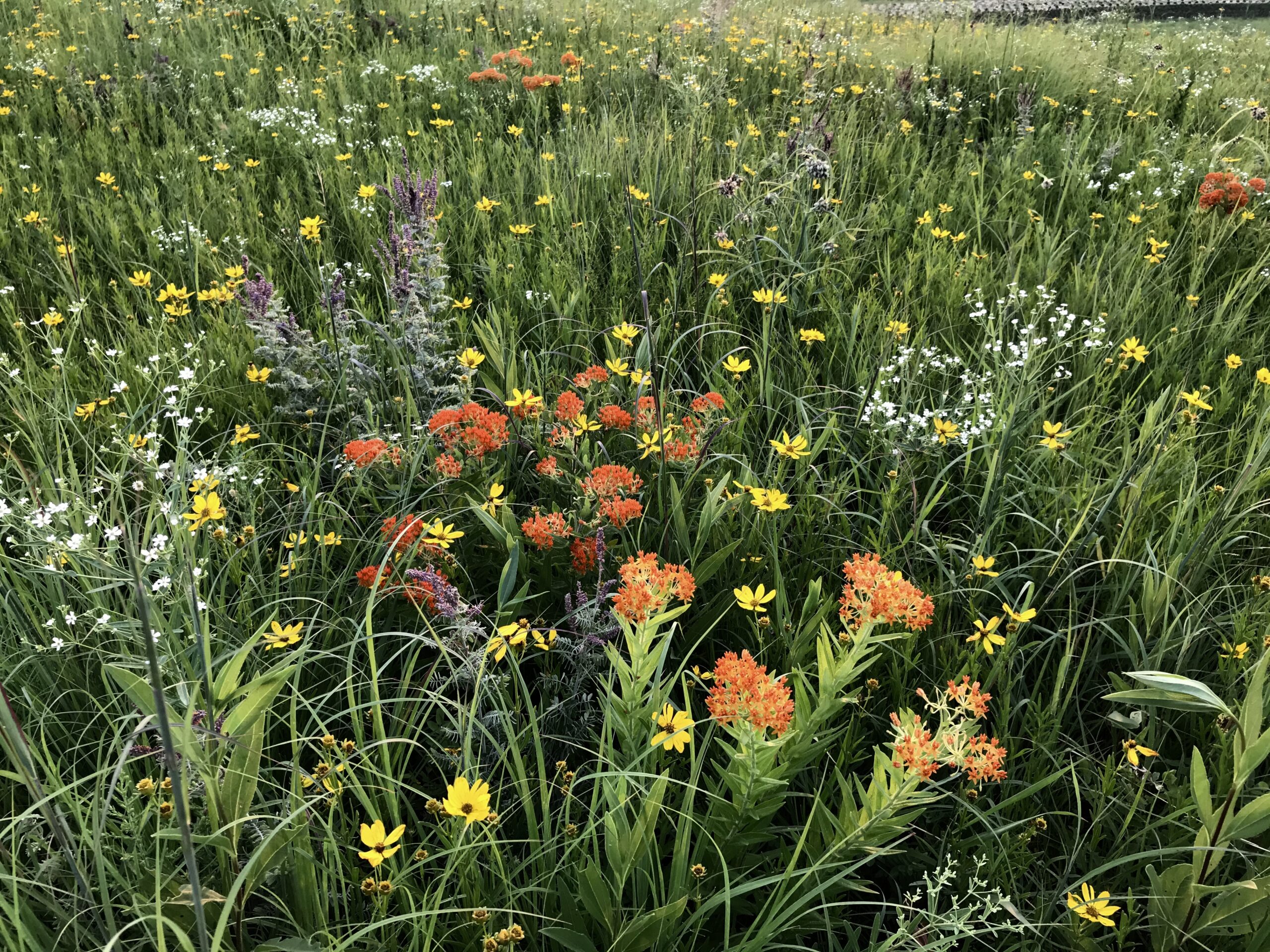 Wisconsin's Scenic Treasures: Southern Vistas - PBS Wisconsin