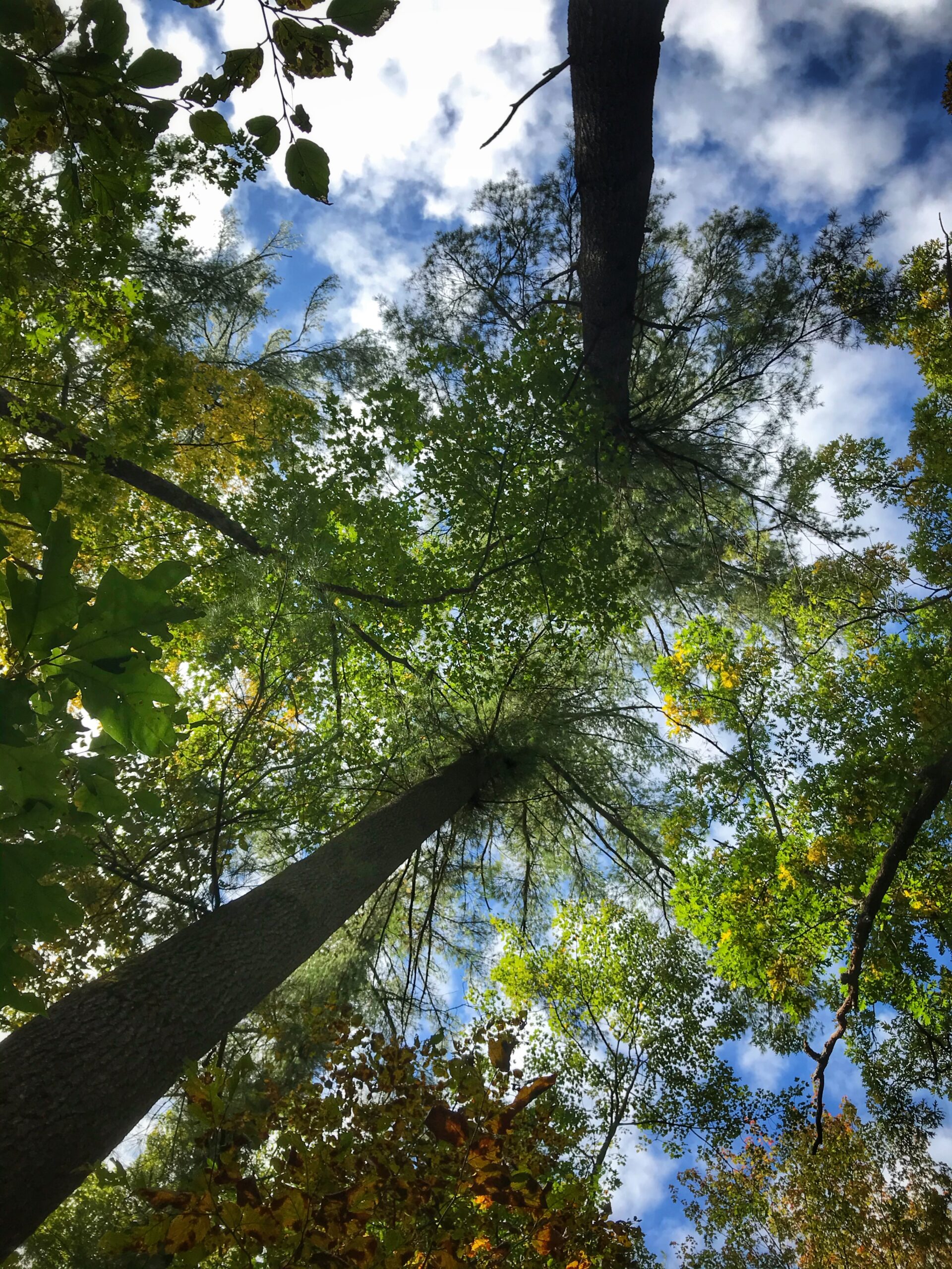 Wisconsin's Scenic Treasures: Southern Vistas - PBS Wisconsin