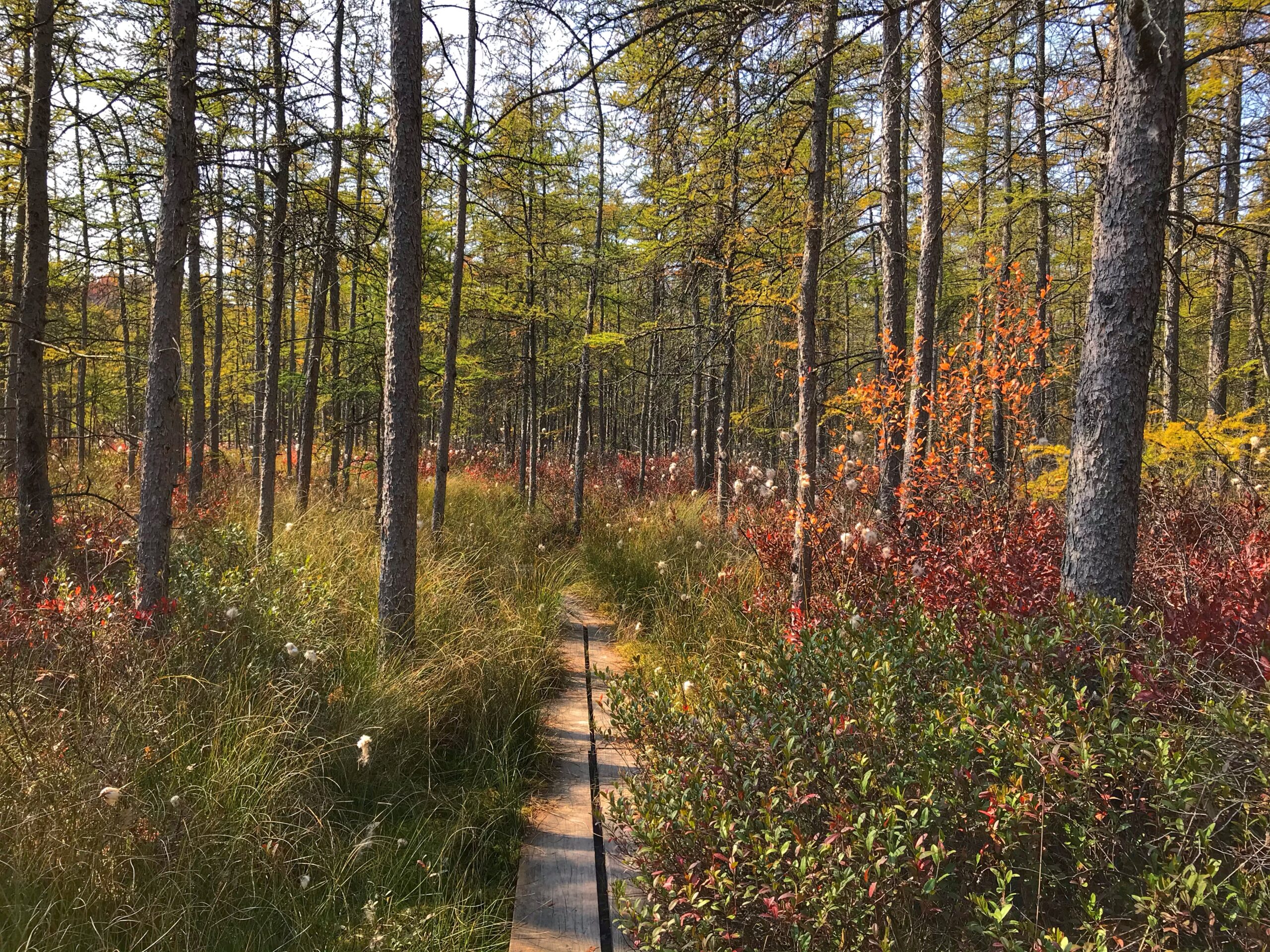 Wisconsin's Scenic Treasures: Southern Vistas - PBS Wisconsin