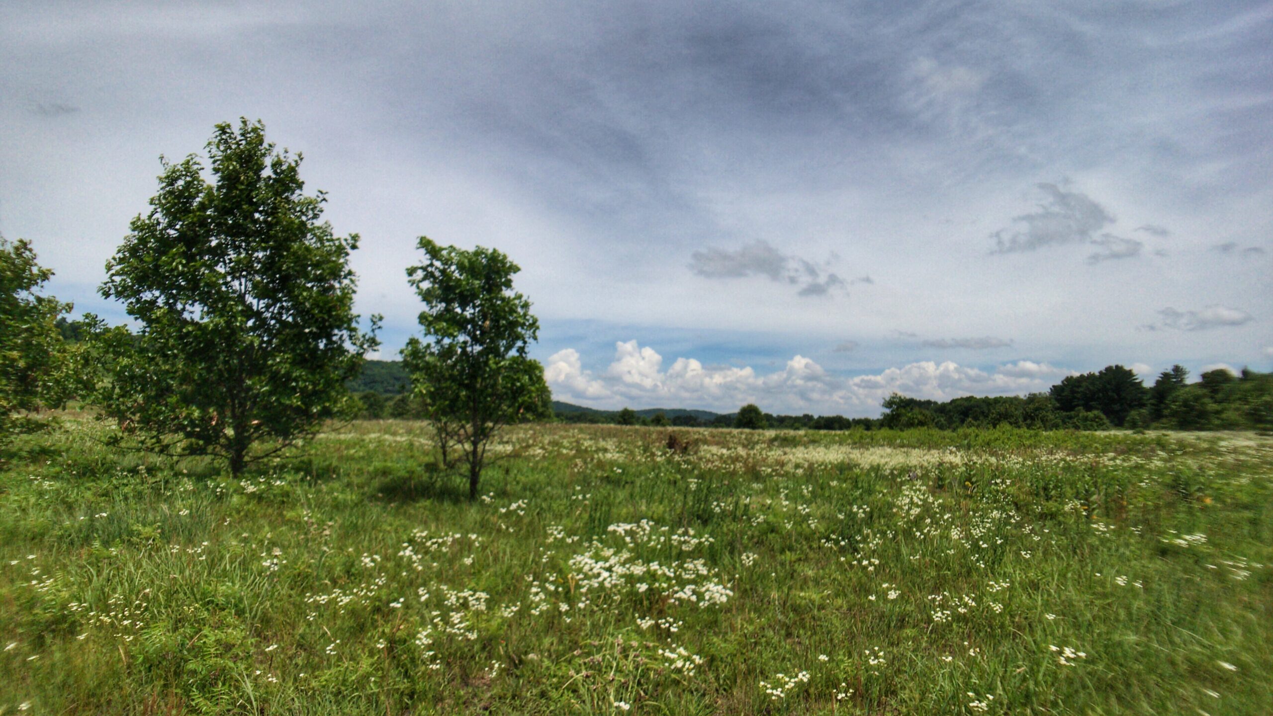 Wisconsin's Scenic Treasures: Southern Vistas - PBS Wisconsin