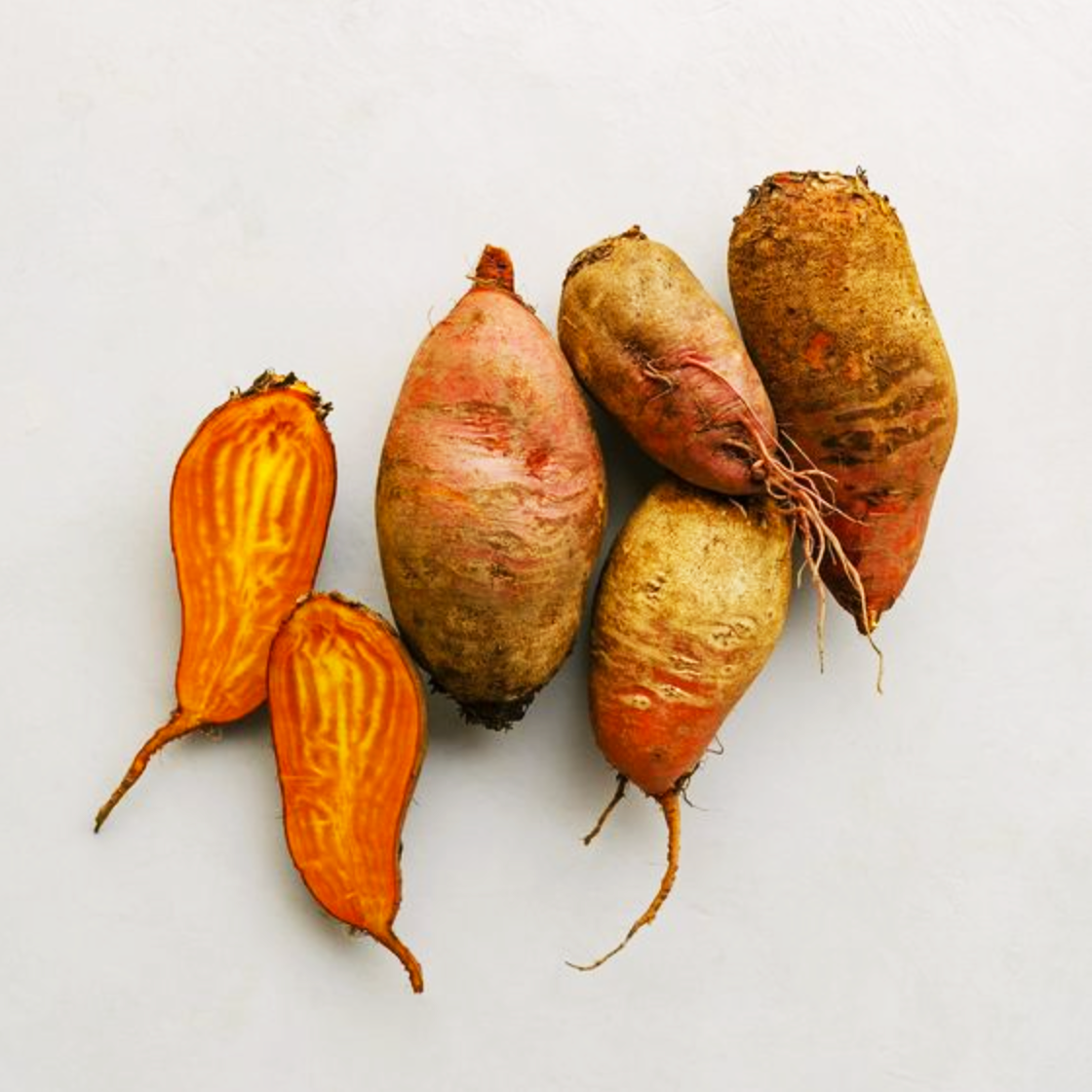 Let's Grow Stuff: Let's Order Seeds... ASAP! - PBS Wisconsin