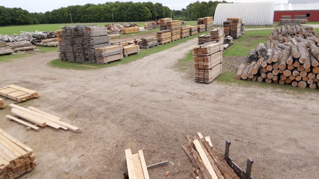 What's Pushing Record Lumber Prices and Who in Wisconsin Is Benefiting?
