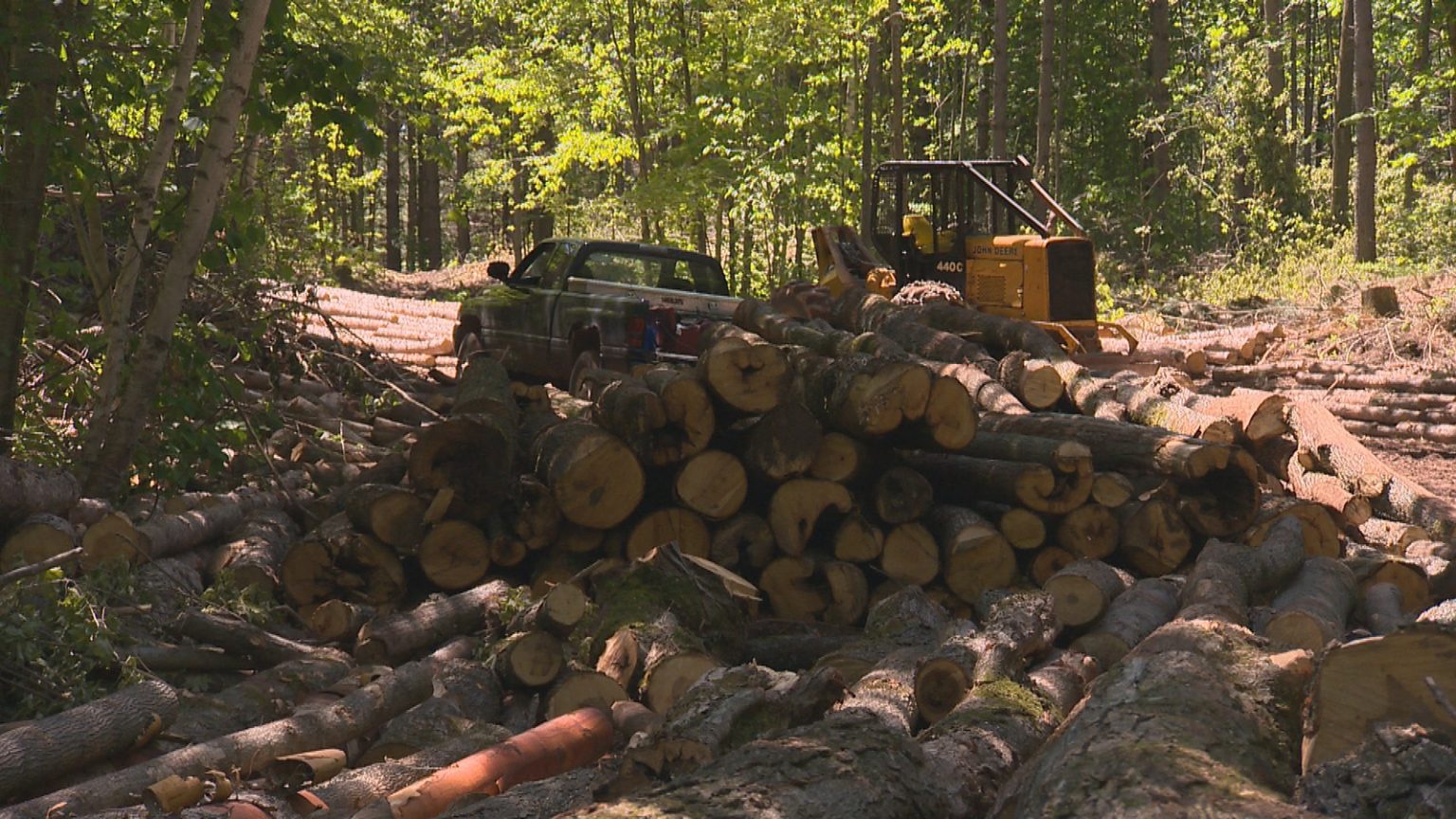 What's Pushing Record Lumber Prices and Who in Wisconsin Is Benefiting?