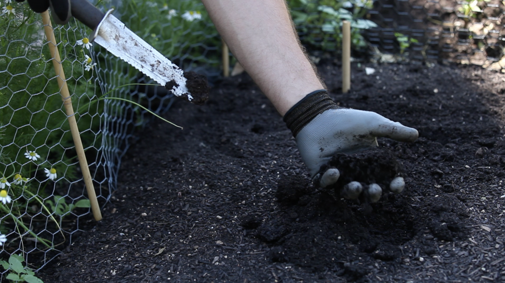 Let's Grow Stuff: What's the Dirt on Soil - PBS Wisconsin