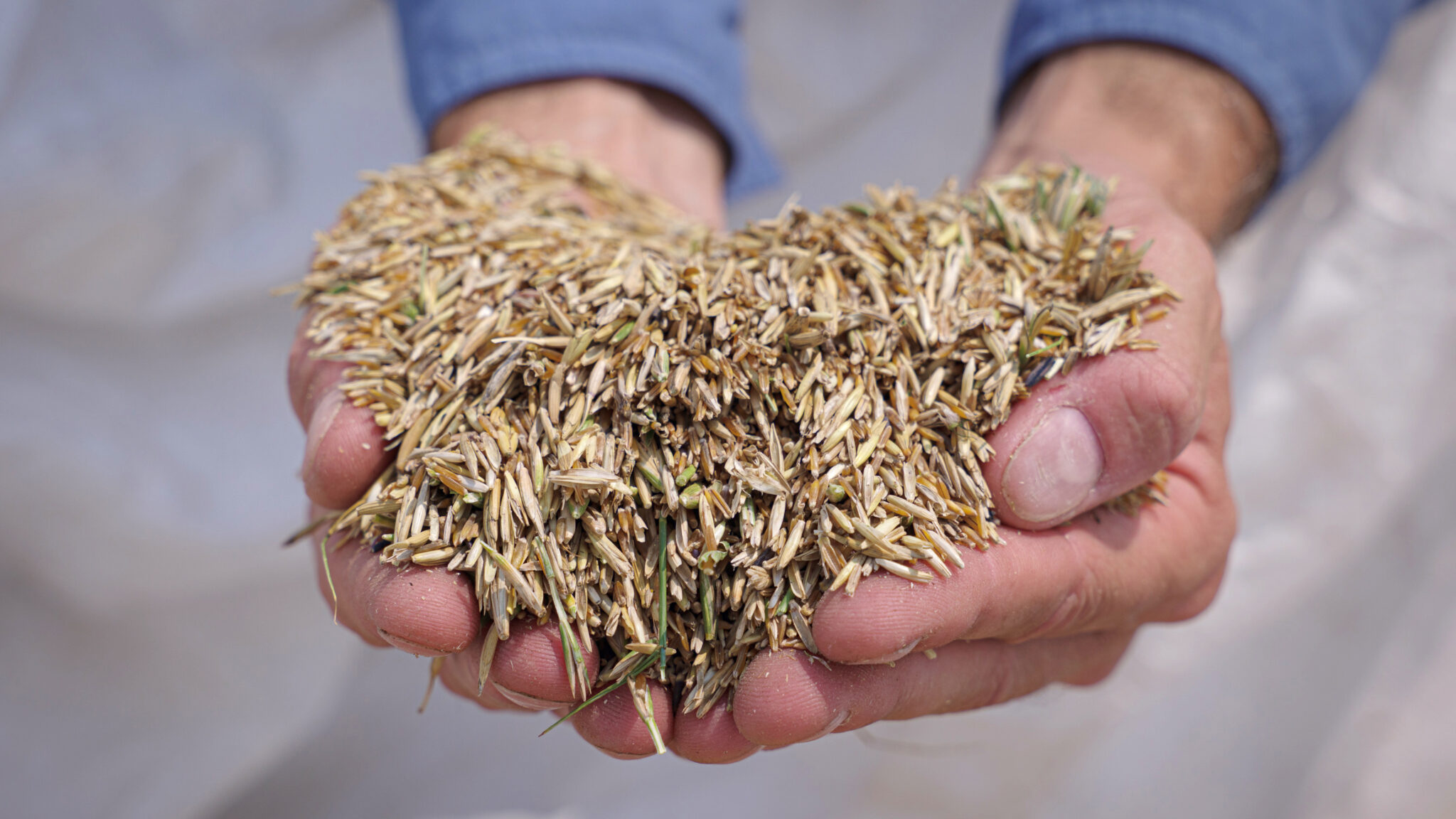 'Around the Farm Table' explores climate change fighting grain - PBS ...
