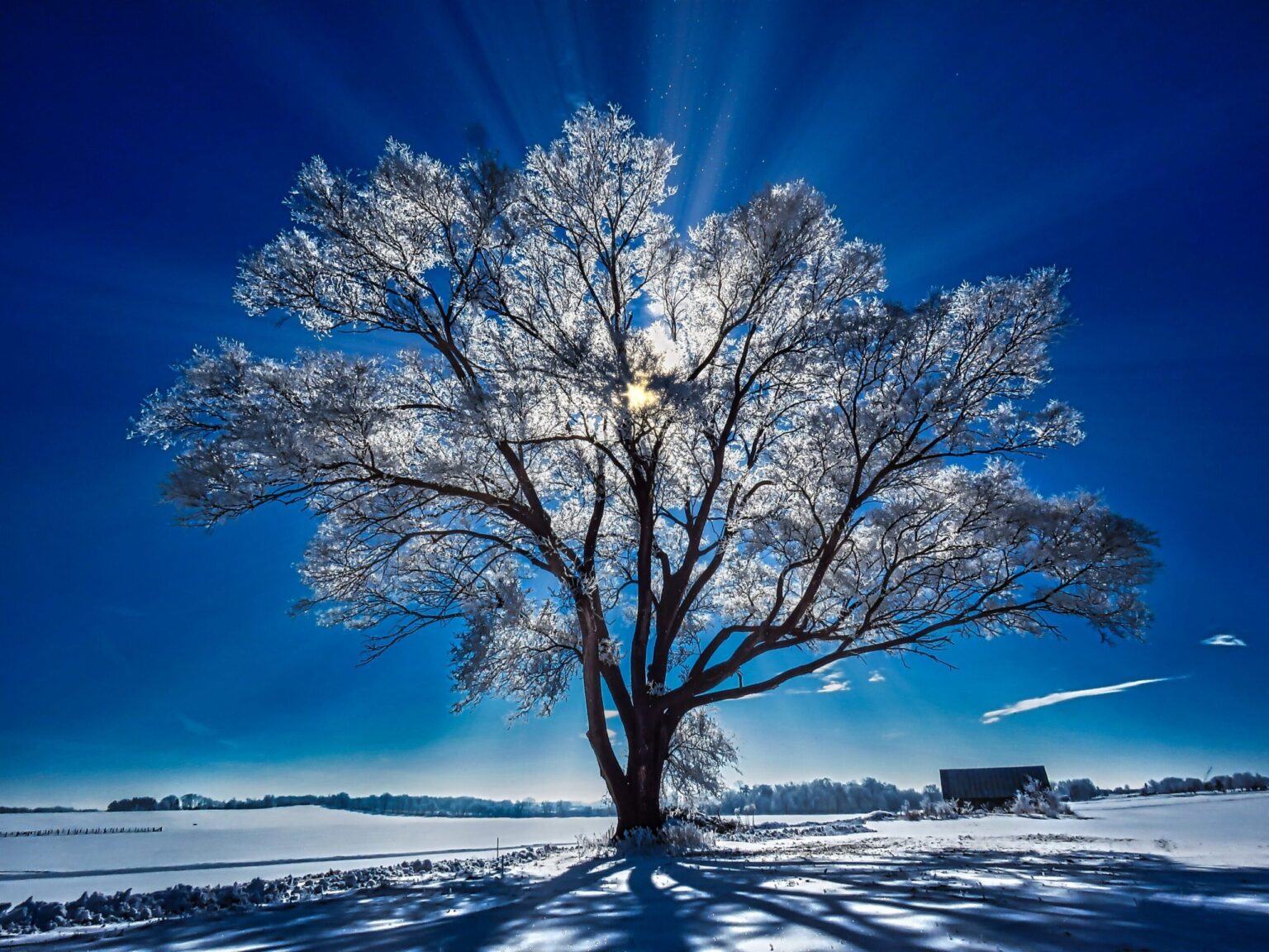 Enter the 2023 Garden & Landscape Expo photo competition! - PBS Wisconsin