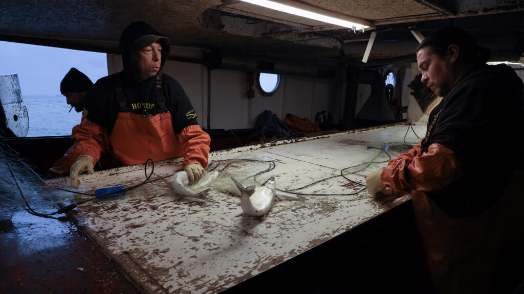 Great Lakes pollution threatens Ojibwe treaty rights to fish