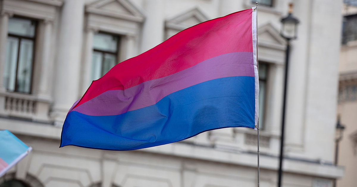 The History of Bi+ Activism in Wisconsin - PBS Wisconsin