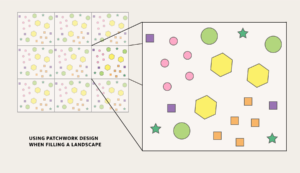 Let's Grow Stuff: Designing your turf-free landscape - PBS Wisconsin