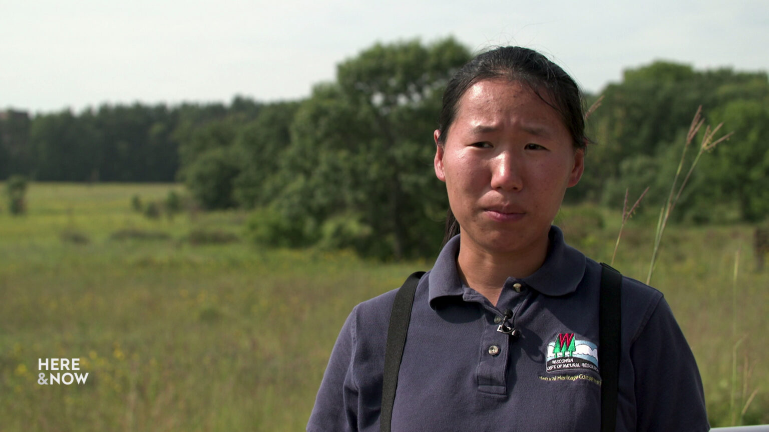 Saving Wisconsin's native bee population is a team effort