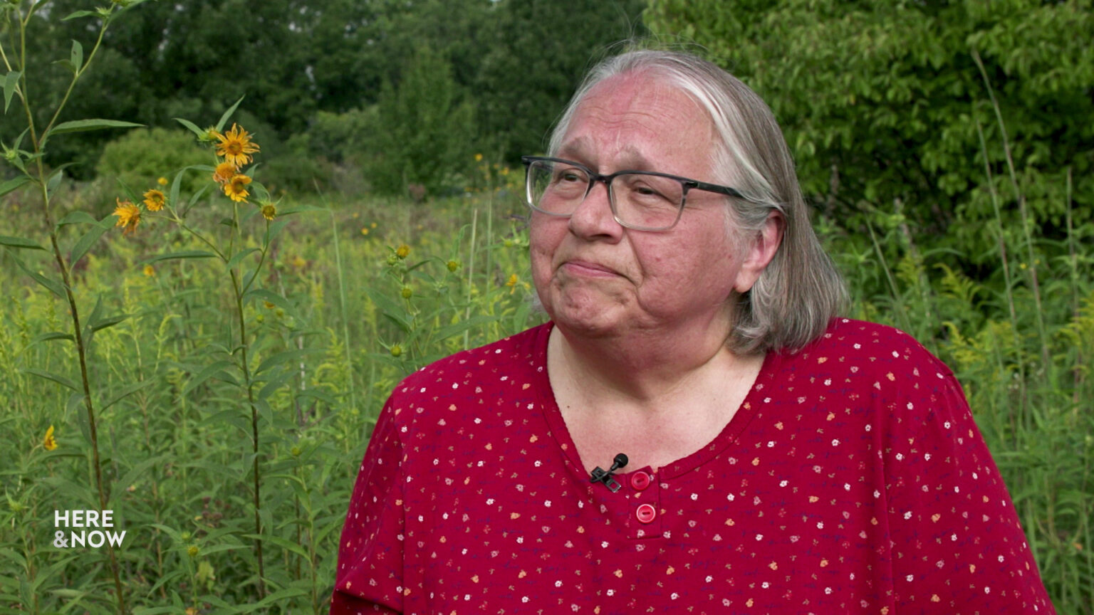 Saving Wisconsin's native bee population is a team effort