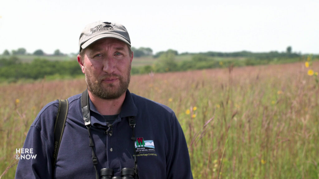 Saving Wisconsin's native bee population is a team effort