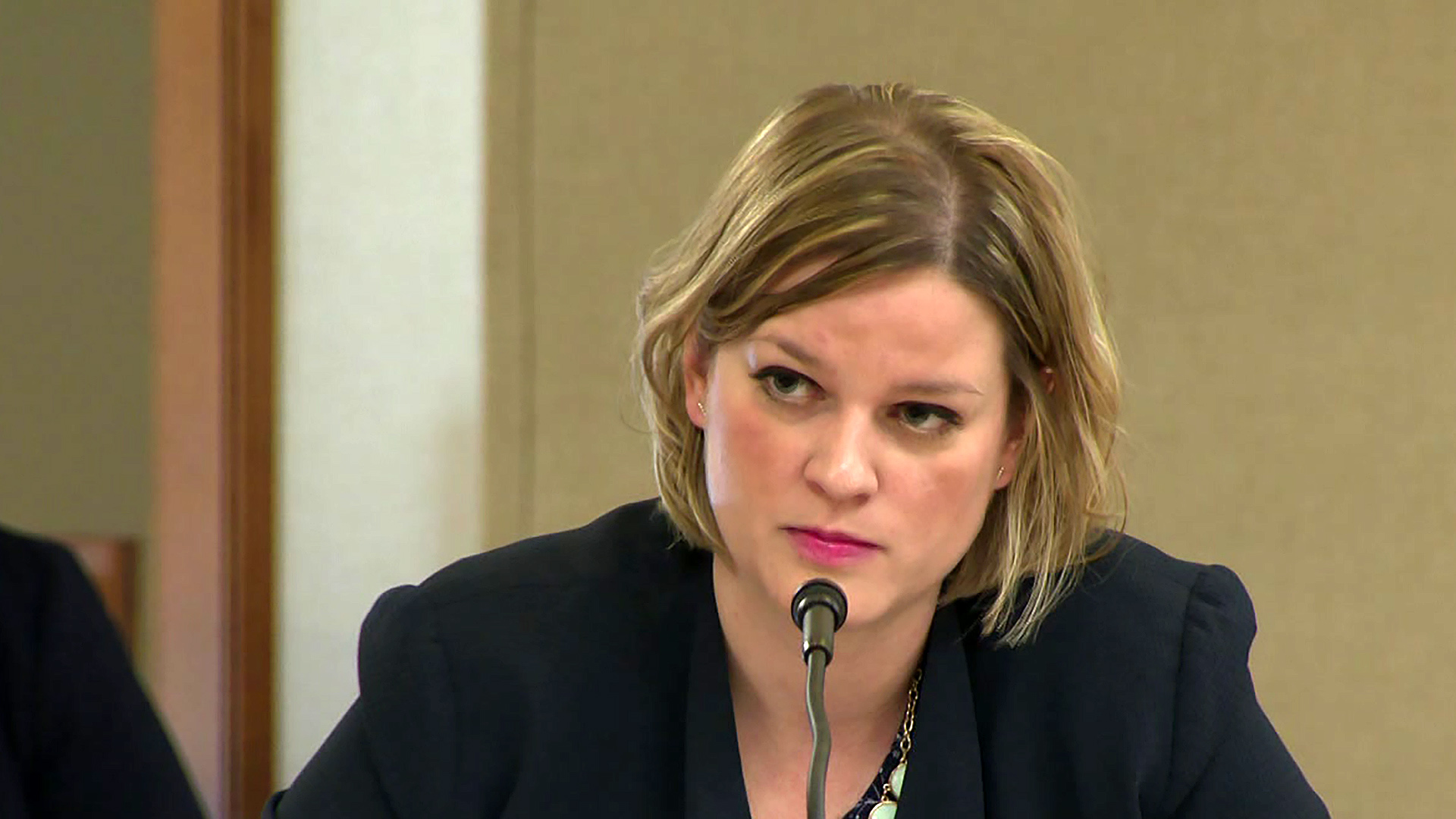 State Rep. Katrina Shankland announces 2024 run for Wisconsin's 3rd ... State Rep. Katrina Shankland announces 2024 run for Wisconsin's 3rd ...