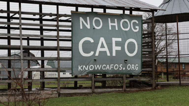 Threat to sue town in Polk County over CAFO regulations revives local ...