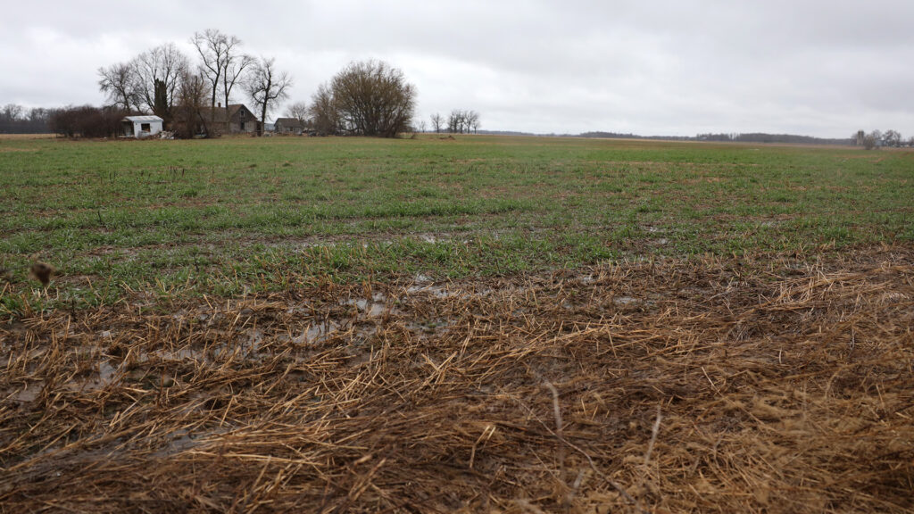 Threat to sue town in Polk County over CAFO regulations revives local ...