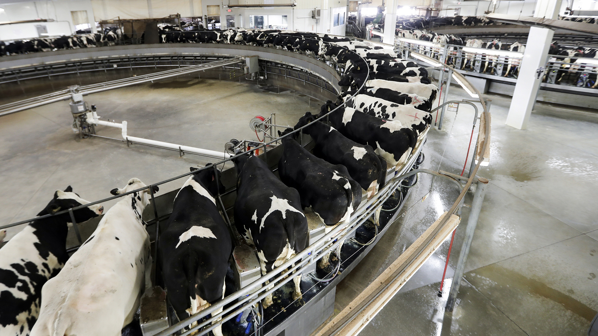 Calumet County judge rules DNR can require factory farms to obtain ...