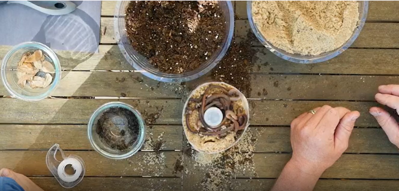 Explore the outdoors with PBS KIDS - PBS Wisconsin