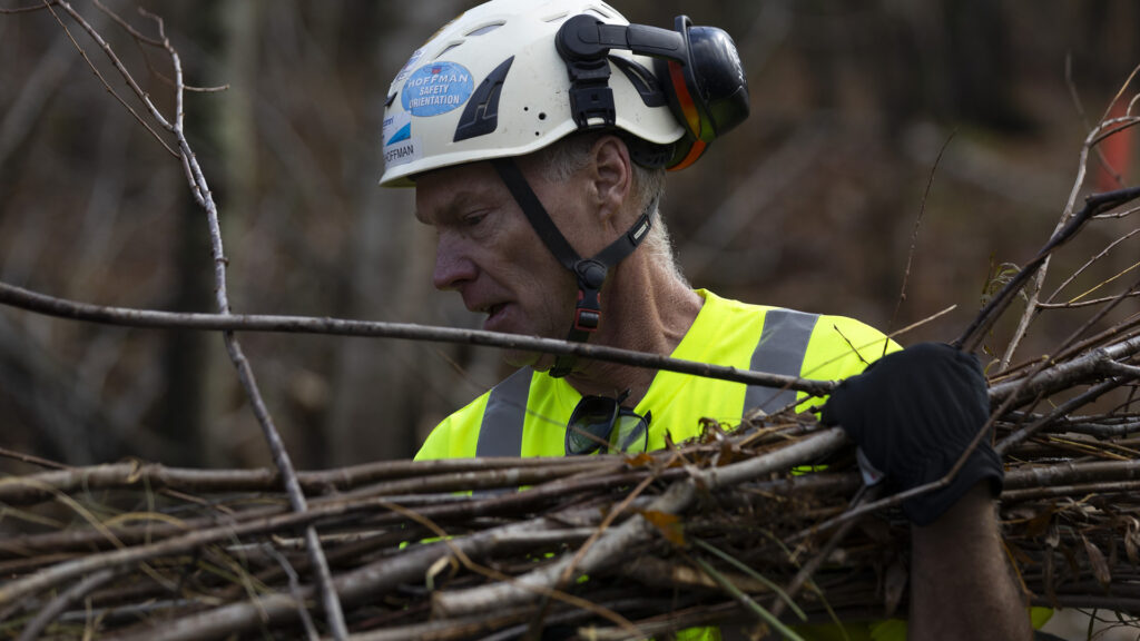 How ecosystem engineers are building mock beaver dams to help restore ...