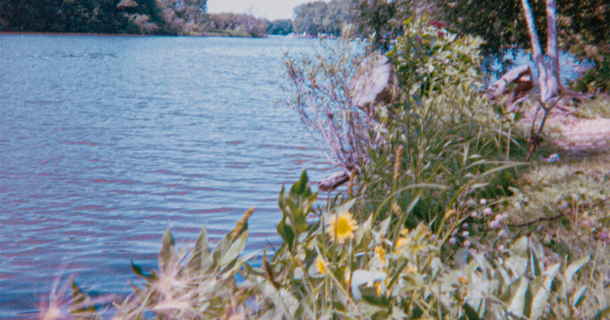Glimpses of the natural world: Lorine Niedecker as photographer - PBS ...