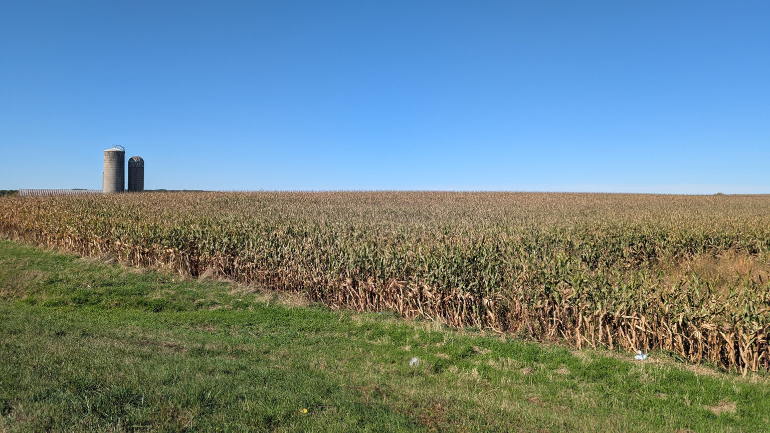 A big corn crop in 2025 creates a tricky price situation for Wisconsin ...
